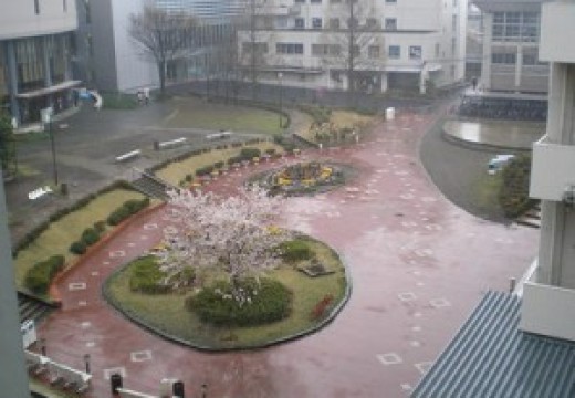 Newest dimension guides - Dimensions Info